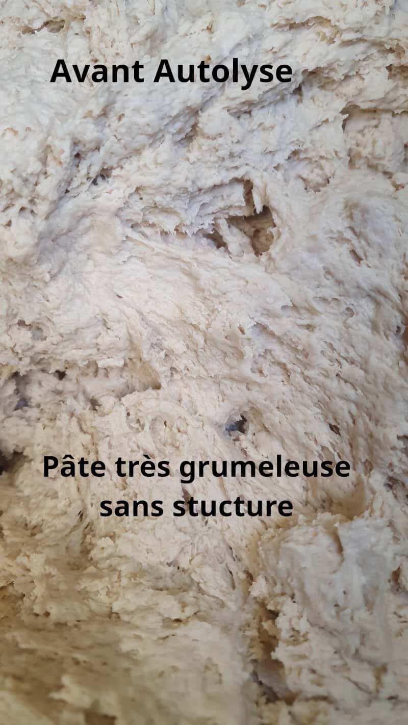 L'Autolyse en Boulangerie - Culture Levain