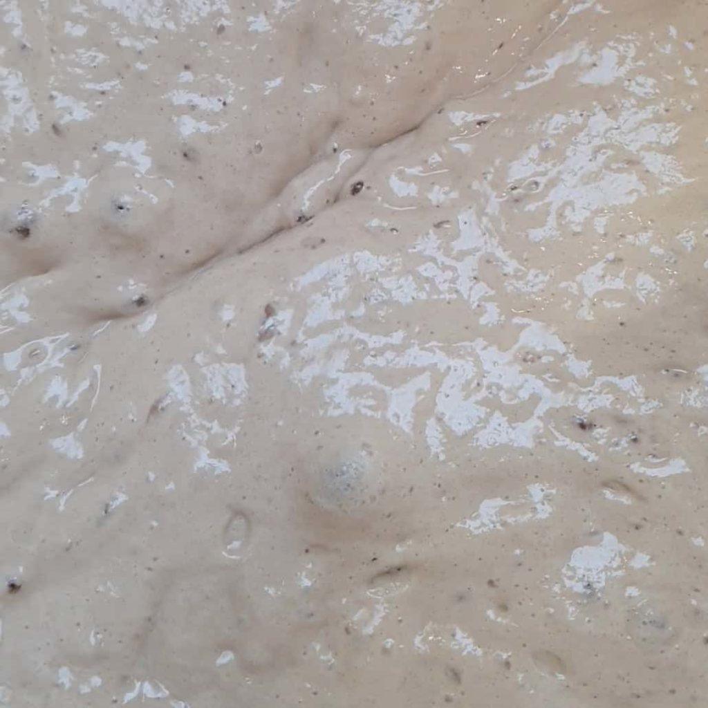 Recette du levain liquide professionnel - Culture Levain